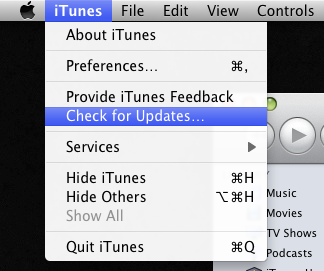 How To Update Your iPhone or iPod Touch to iOS 4